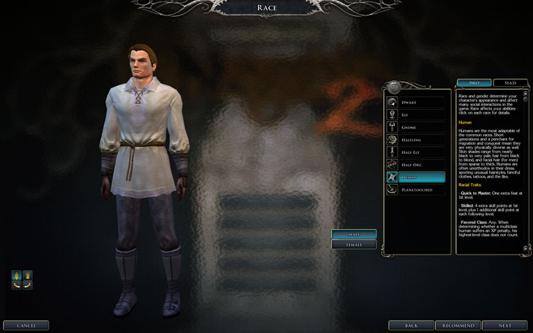 Neverwinter Nights 2 | WSGF