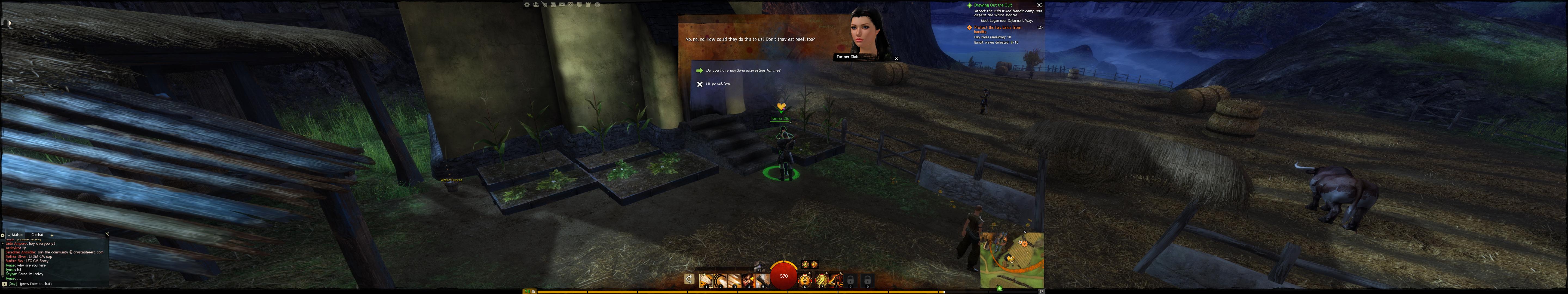 Guild Wars 2 | WSGF
