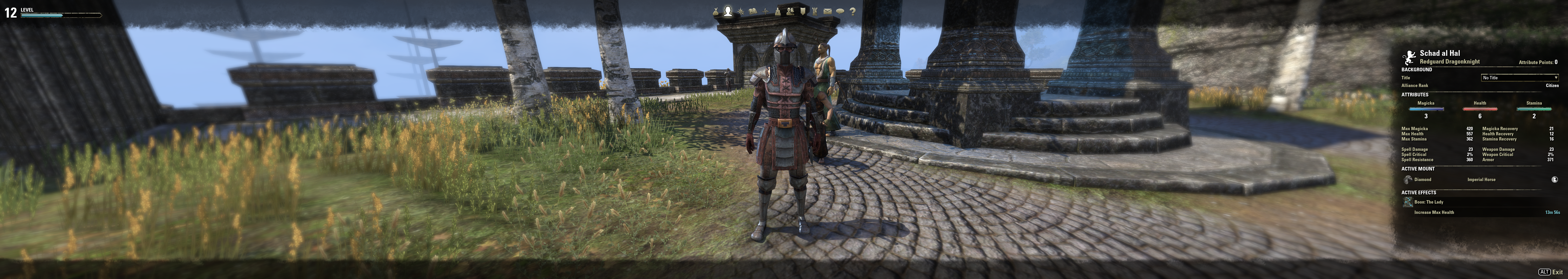 The Elder Scrolls Online | WSGF
