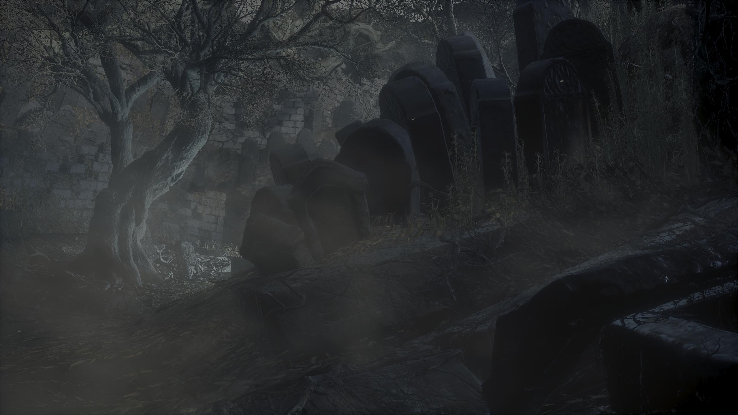 Dark Souls III | WSGF