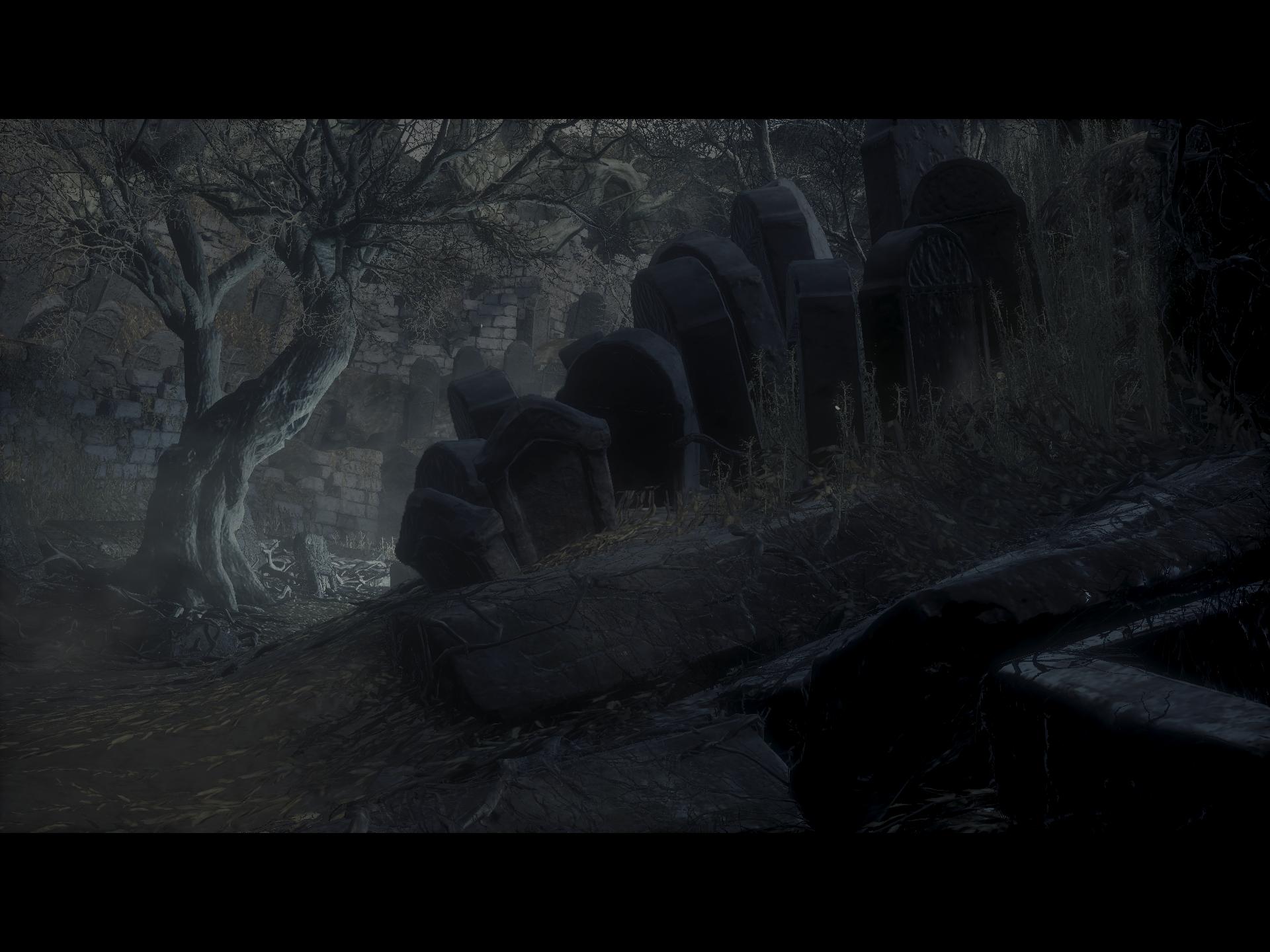 Dark Souls III | WSGF