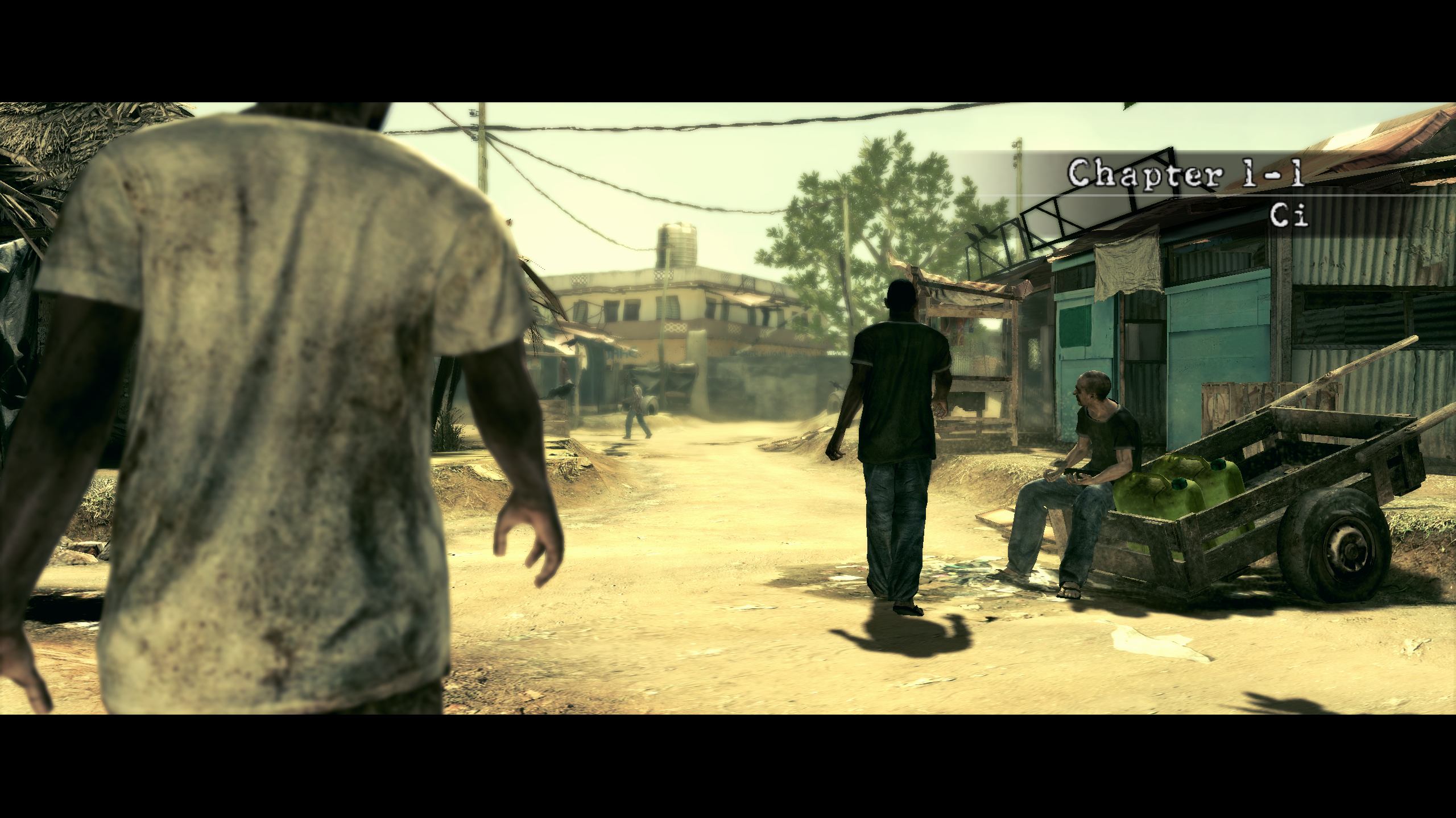 Resident Evil 5 | WSGF