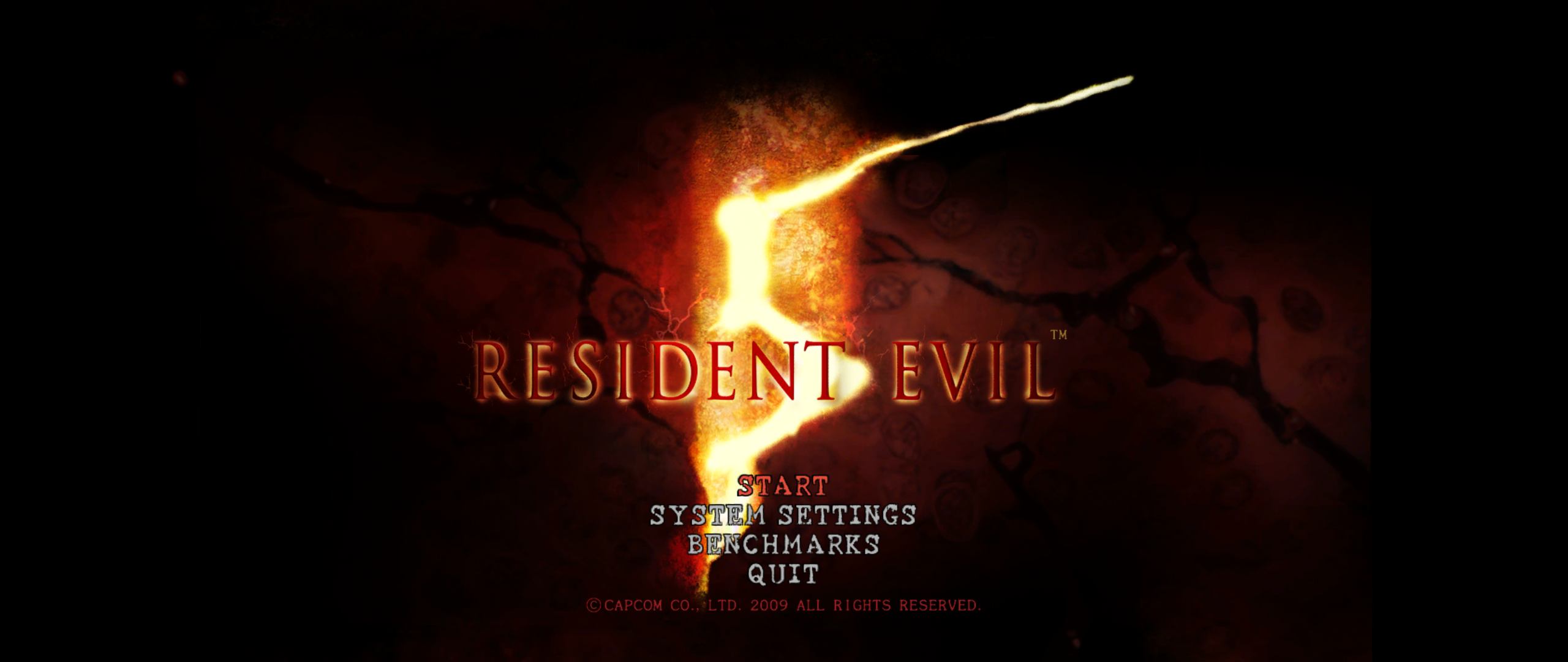 Resident Evil 5 | WSGF