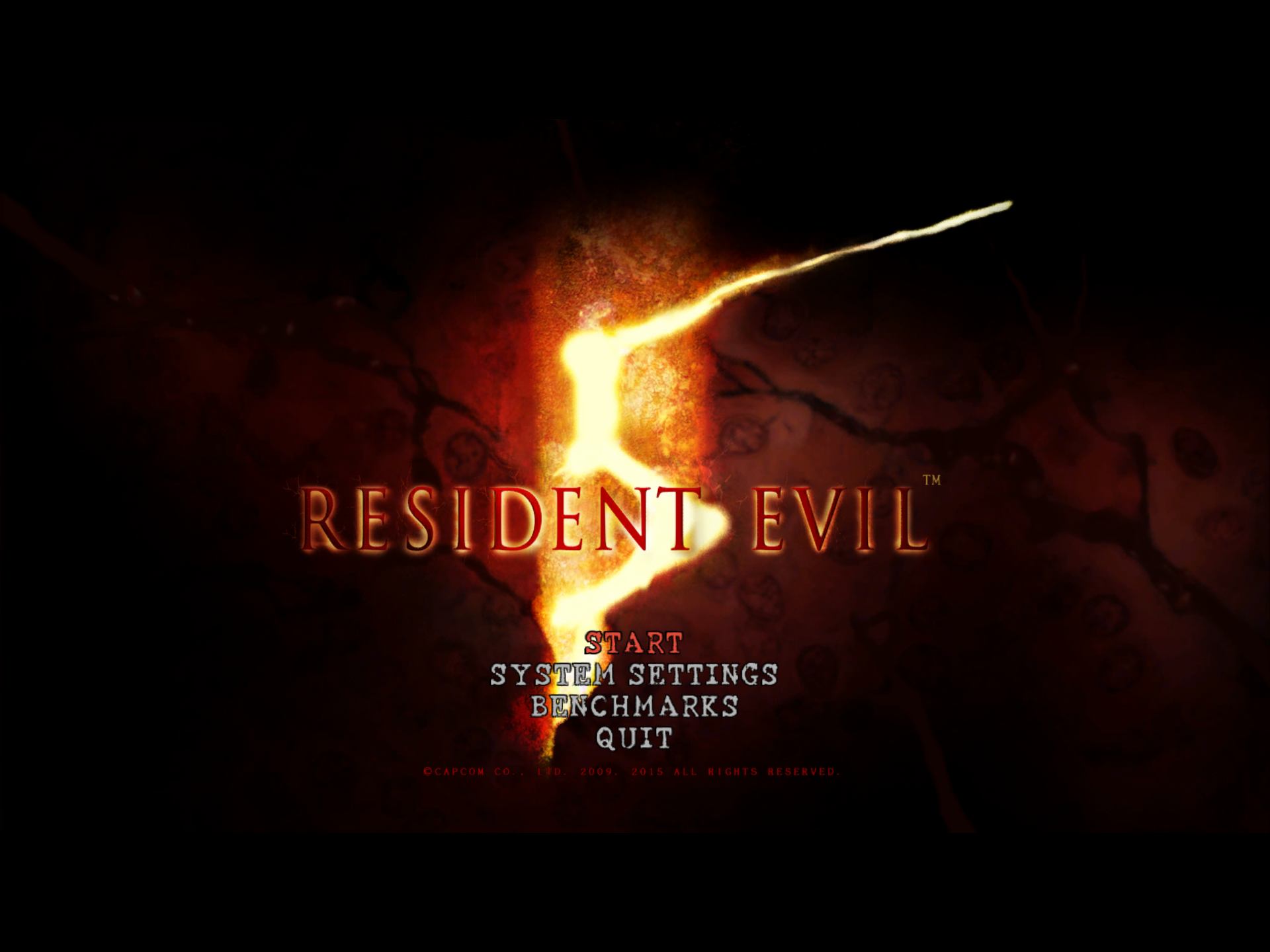 Resident Evil 5 | WSGF
