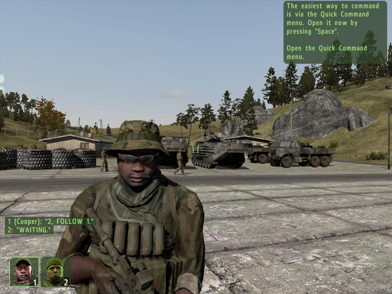 Armed Assault 2 (ARMA 2) | WSGF