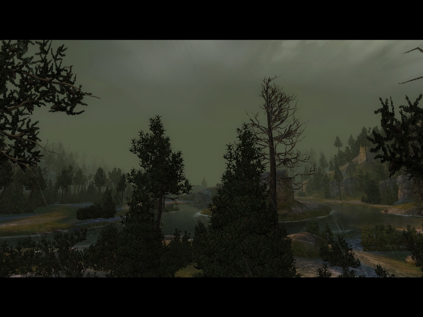 The Witcher | WSGF