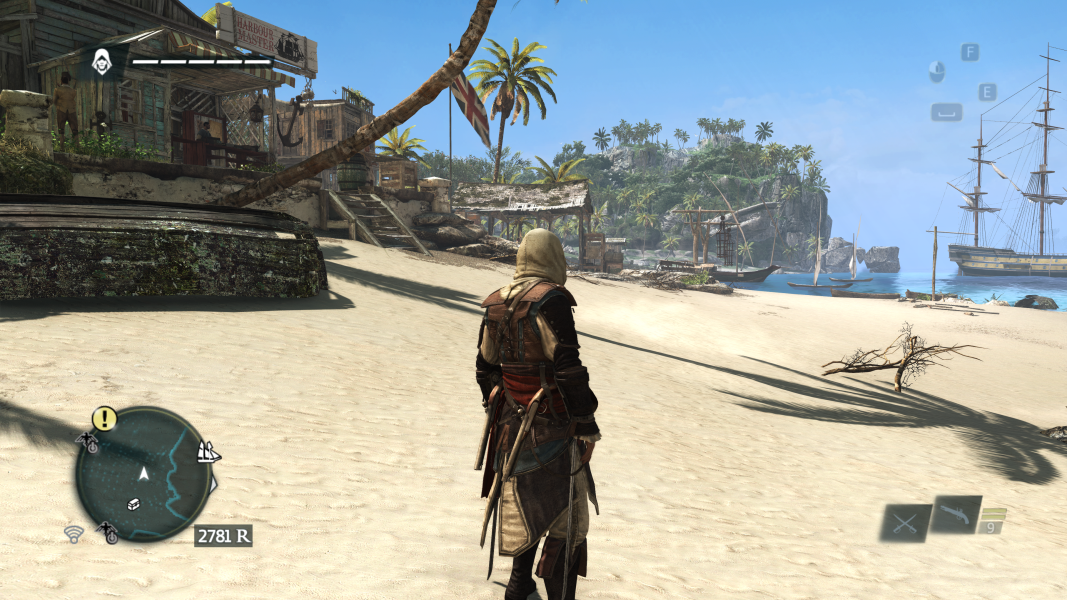 Assassin's Creed IV: Black Flag | WSGF