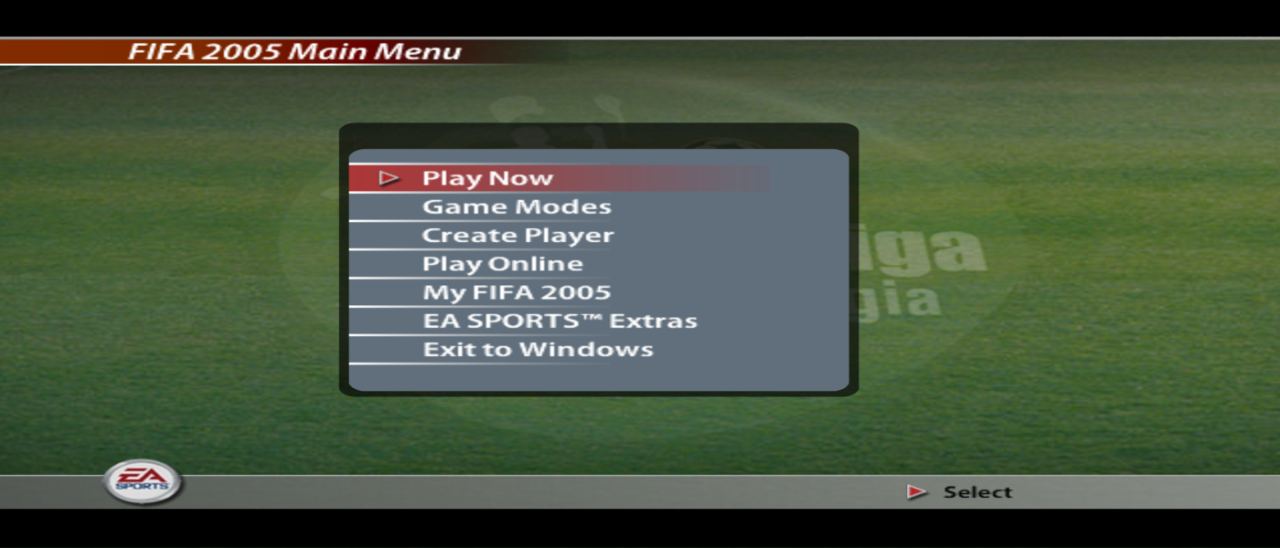 FIFA Football 2005 | WSGF